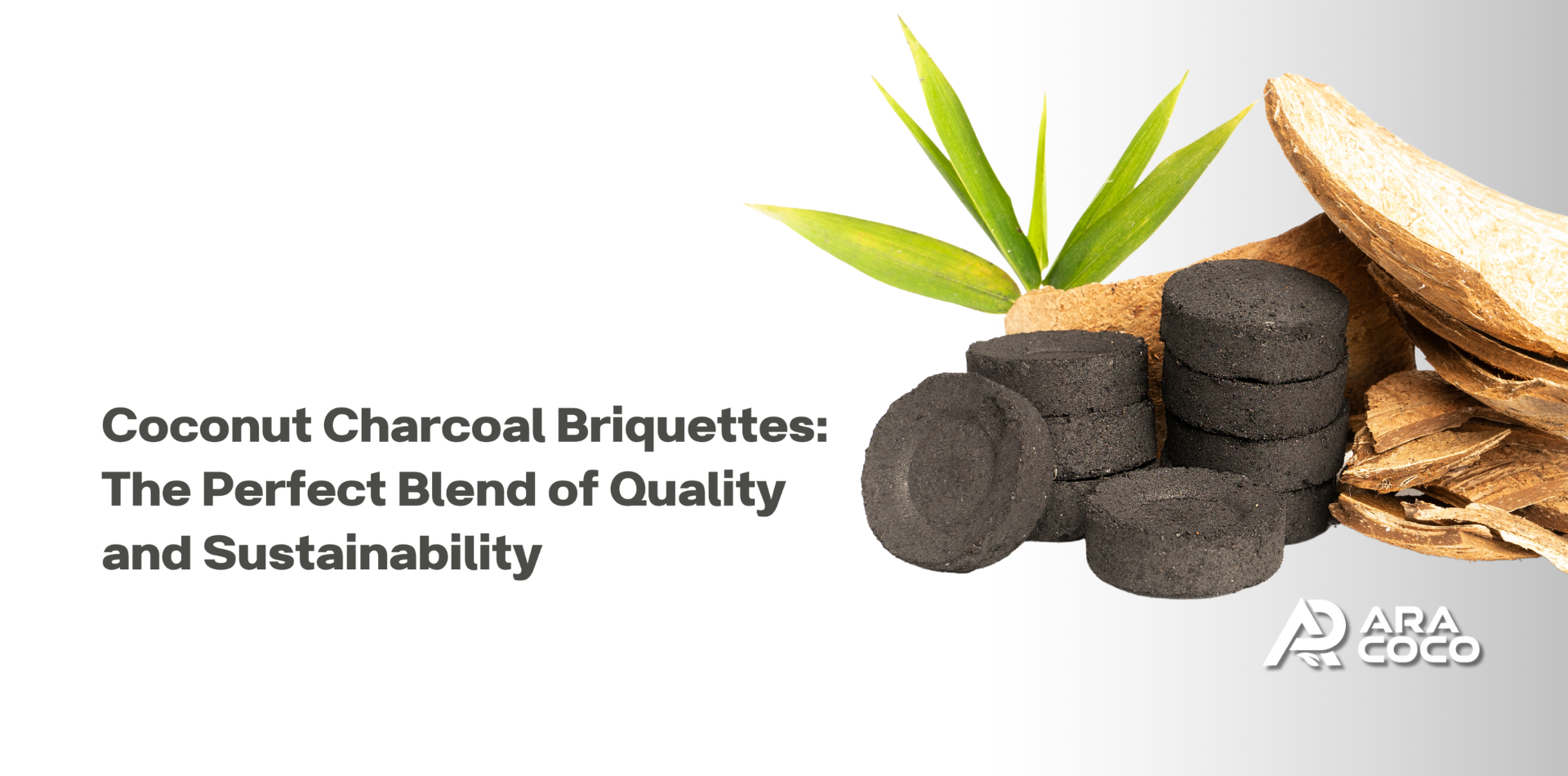 Coconut Charcoal Briquette:Unearth the Indonesia Hidden Gem